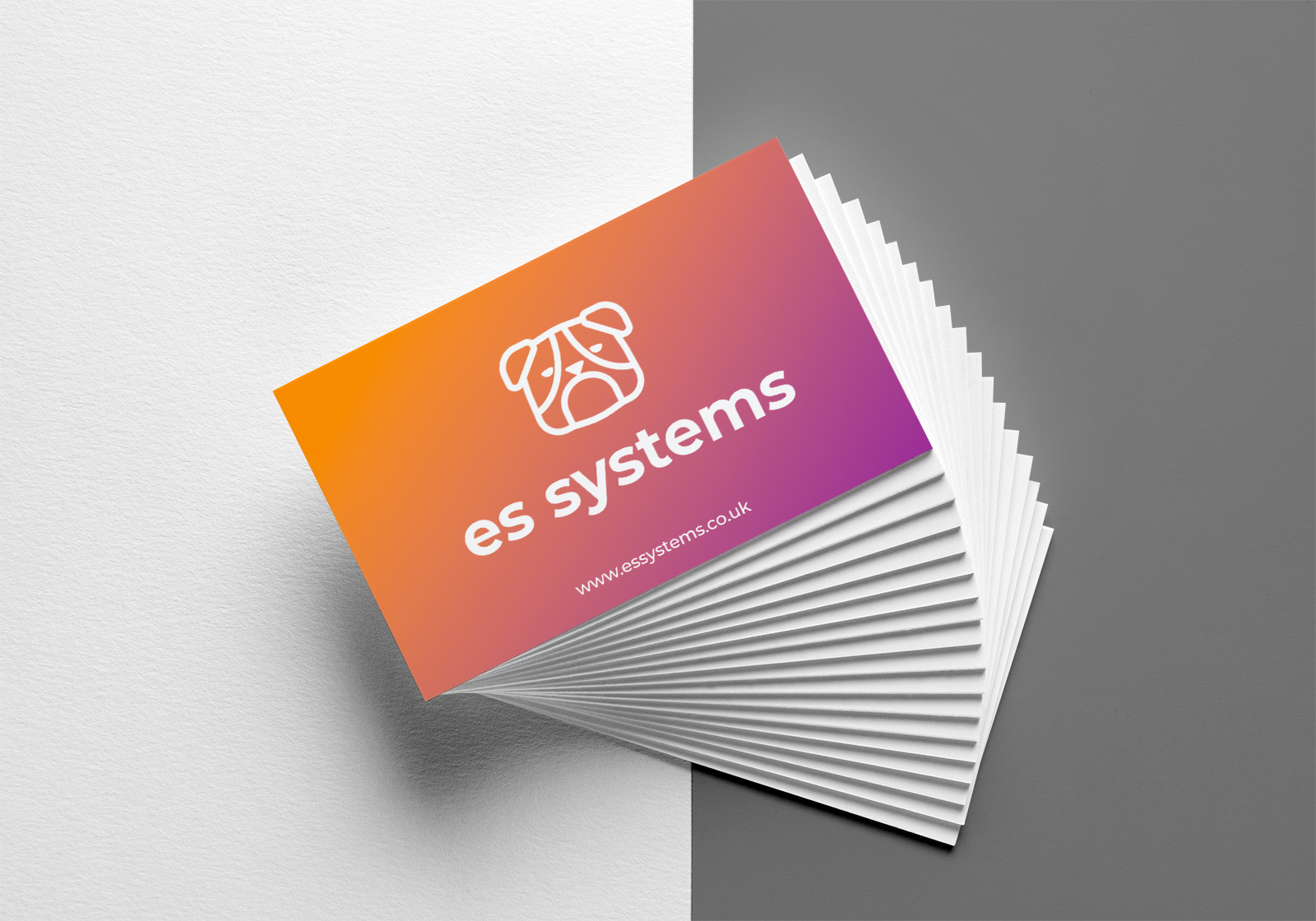 ES Systems | Surge Online
